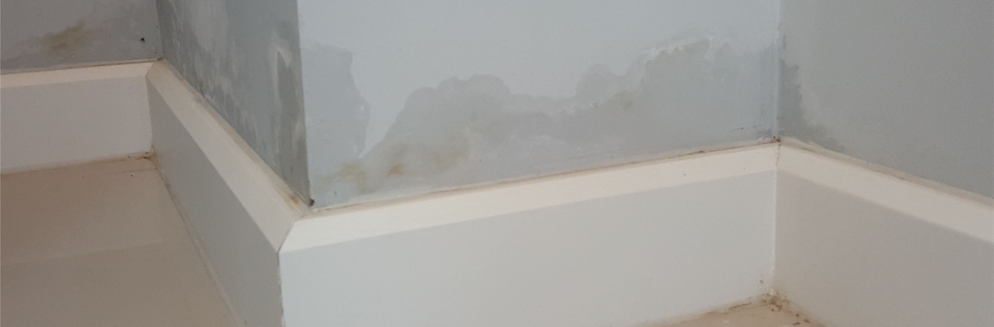 Damp Proofing Products | Next Day Delivery | Bulk Discounts – Platinum ...