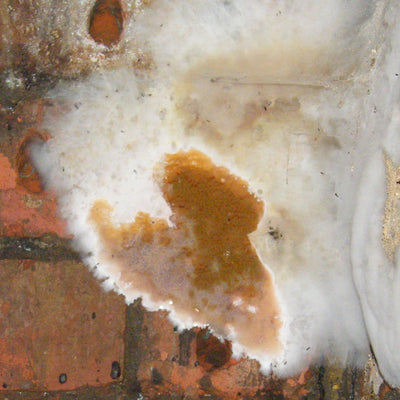 Damp Proofing, Waterproofing, Condensation & Wood Treatment Products ...