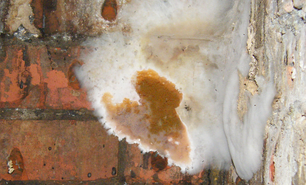 Damp Proofing, Waterproofing, Condensation & Wood Treatment Products ...