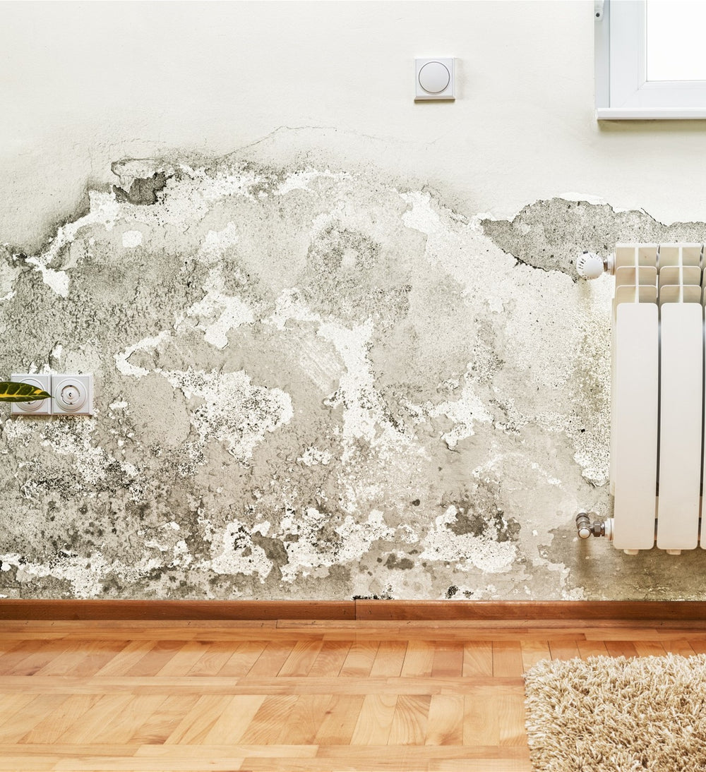 Damp Proofing, Waterproofing, Condensation & Wood Treatment Products ...