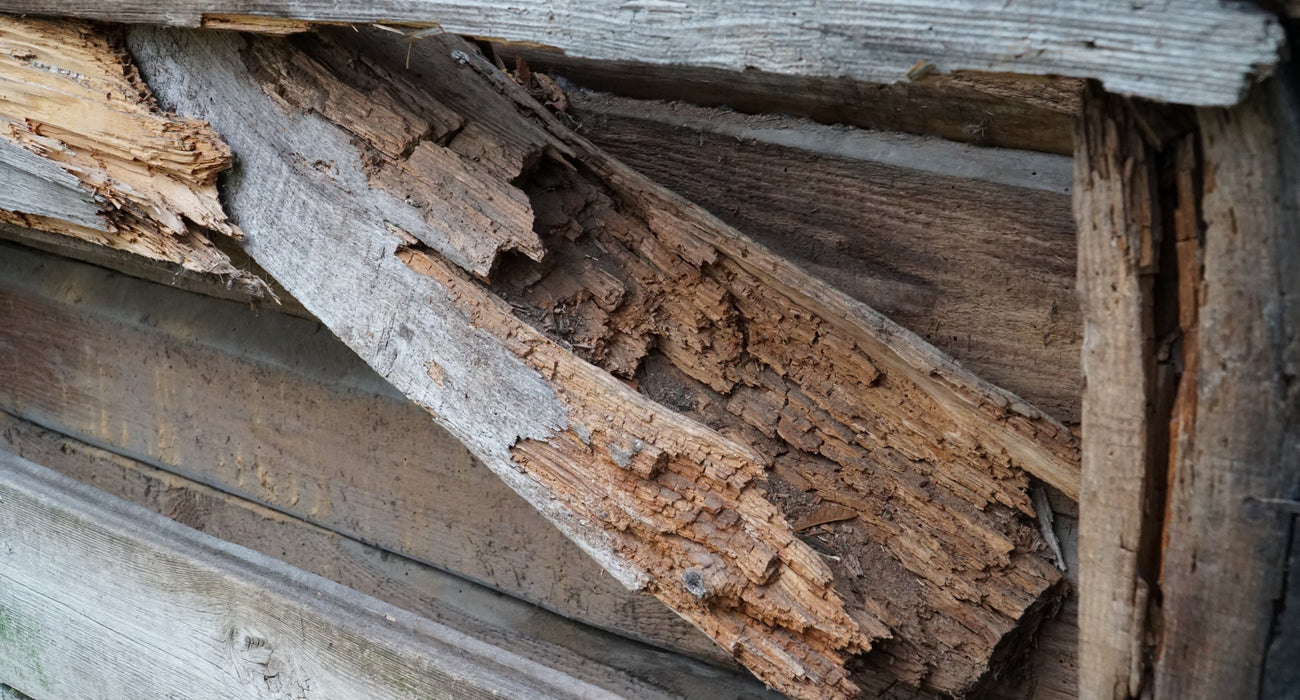 Damp Proofing, Waterproofing, Condensation & Wood Treatment Products ...